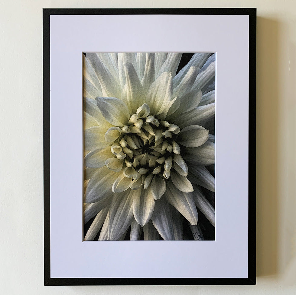 White Burst II – Kate Dawes Studio